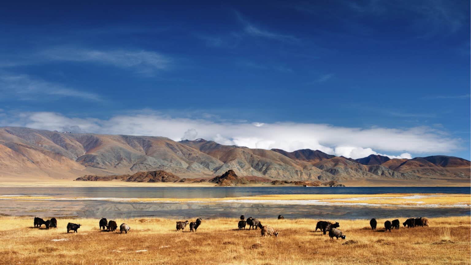 Asia's Untouched Beauty - 11 Least-Visited Countries You Must See - The ...