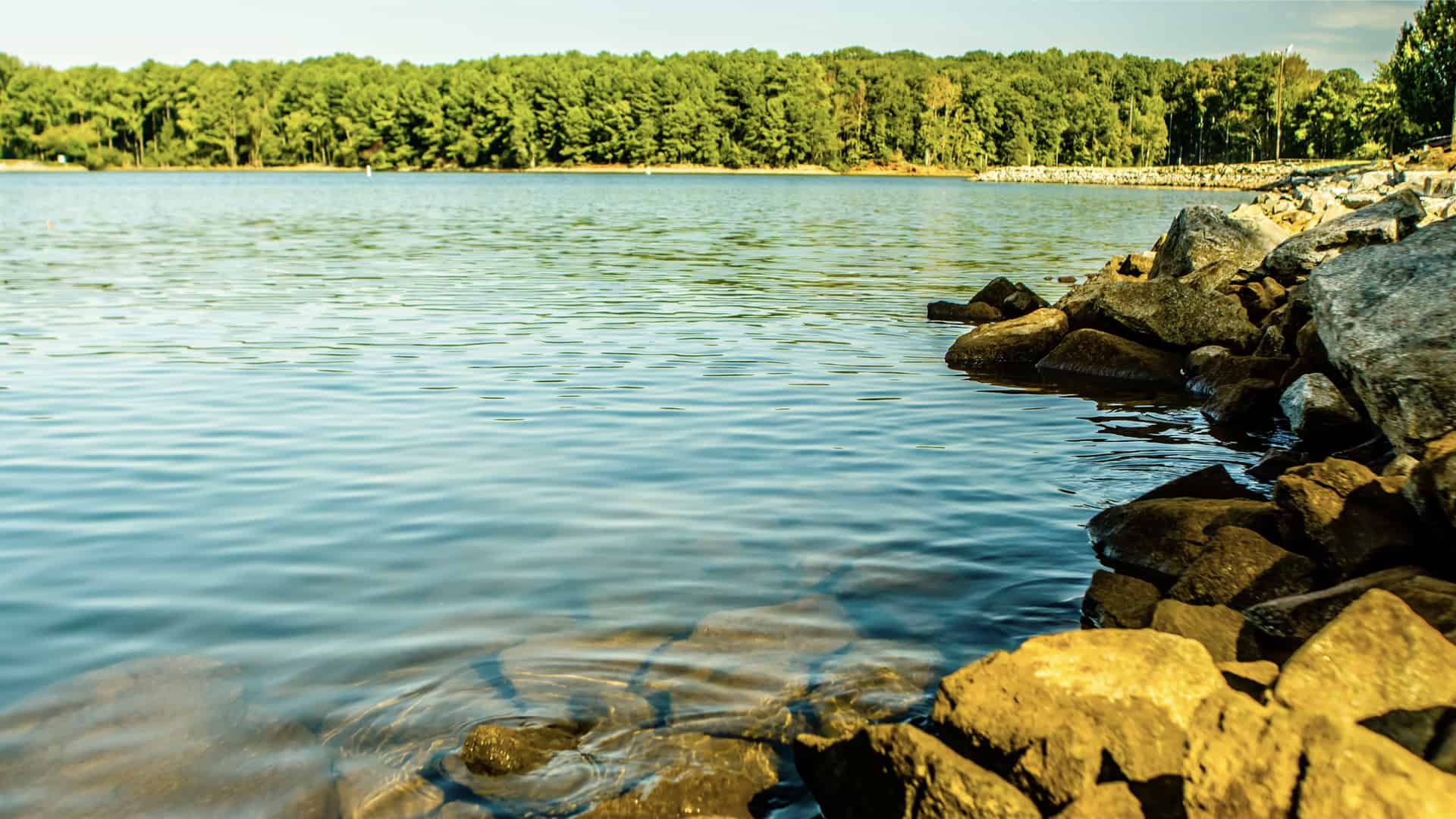 16 of the Best Lakes in South Carolina to Spend a Weekend On - The ...