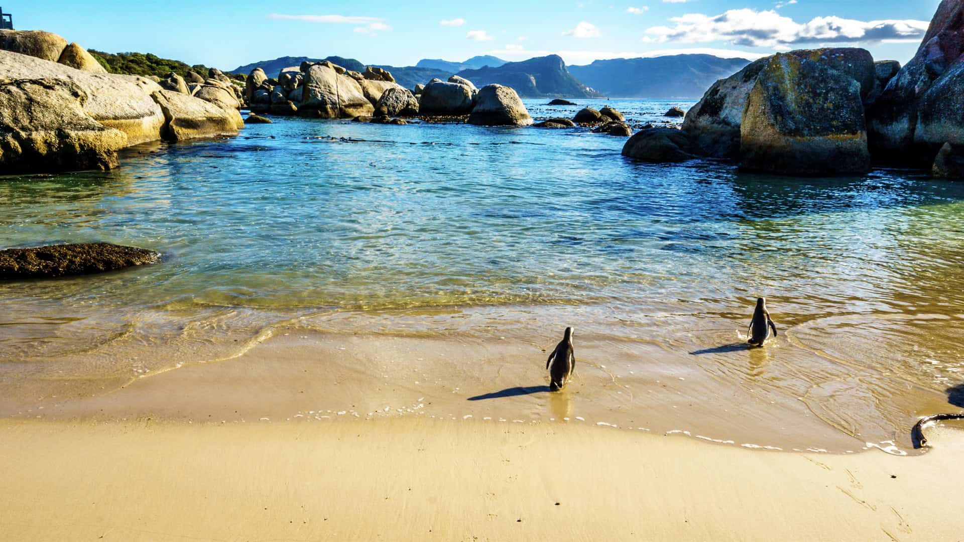 13 Incredible Beaches Around the World That You Must Visit - The Frugal ...